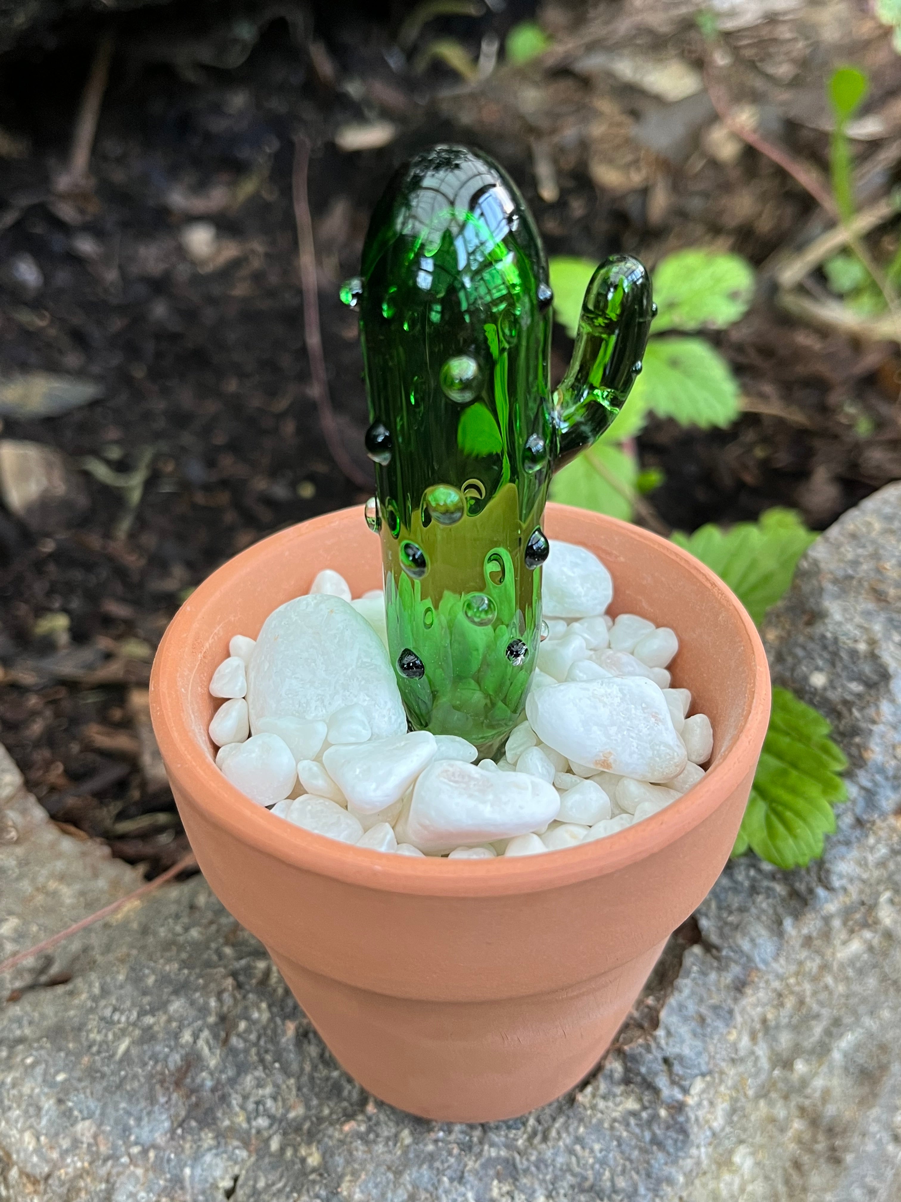 TGA Cactus Pot - Green #12 – Off Grid Society Aotearoa